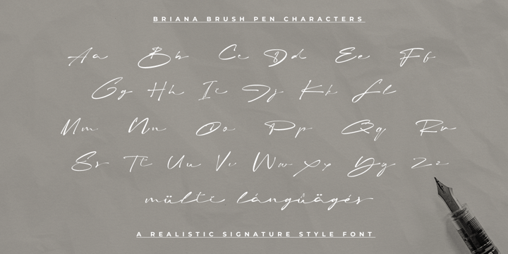 Briana Font | Webfont & Desktop | MyFonts