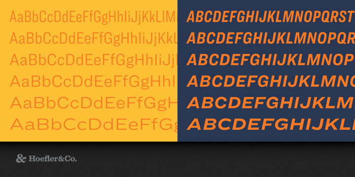Ringside Font | Webfont & Desktop | MyFonts
