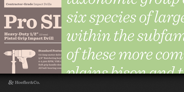 Sentinel Font | Webfont & Desktop | MyFonts