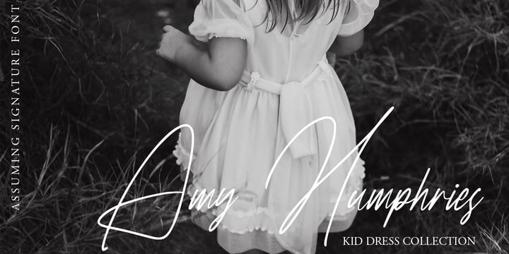 Assuming Font | Webfont & Desktop | MyFonts