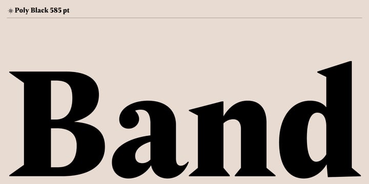 Poly Font | Webfont & Desktop | MyFonts