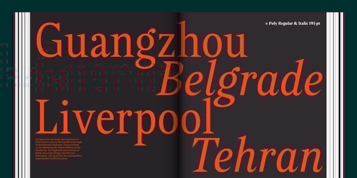 Poly Font | Webfont & Desktop | MyFonts