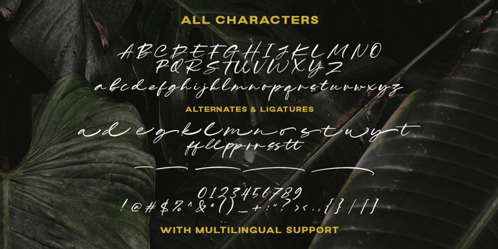 Grand Wilson Font | Webfont & Desktop | MyFonts