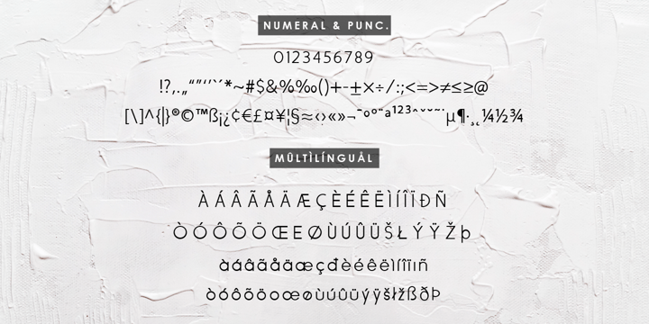 The Ground Font | Webfont & Desktop | MyFonts
