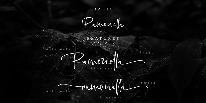 Bellarosa Font | Webfont & Desktop | MyFonts