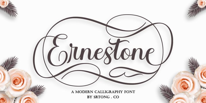Ernestone Script Font | Webfont & Desktop | MyFonts