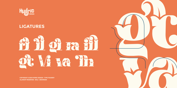 Kyra Vaglo Font | Webfont & Desktop | MyFonts