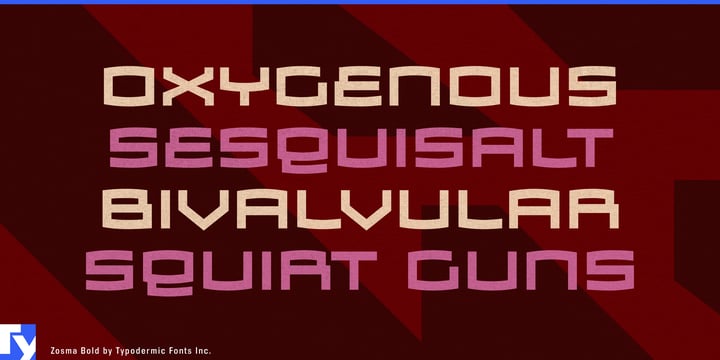 Zosma Font | Webfont & Desktop | MyFonts