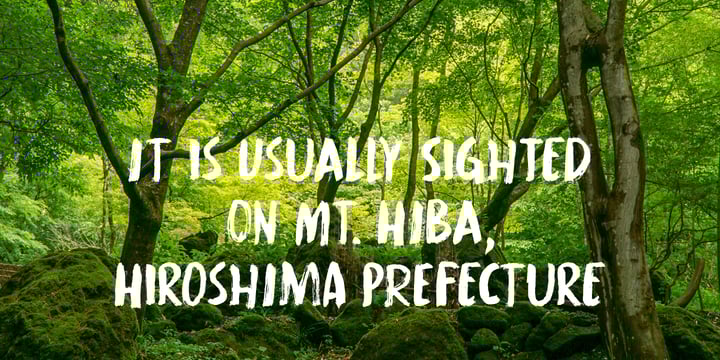 Hibagon Font | Webfont & Desktop | MyFonts