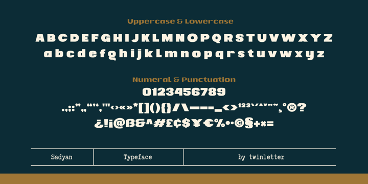 Sadyan Font | Webfont & Desktop | MyFonts