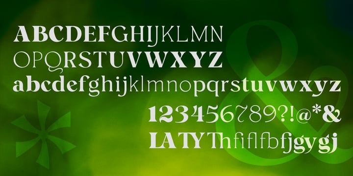 The Fudge Font | Webfont & Desktop | MyFonts