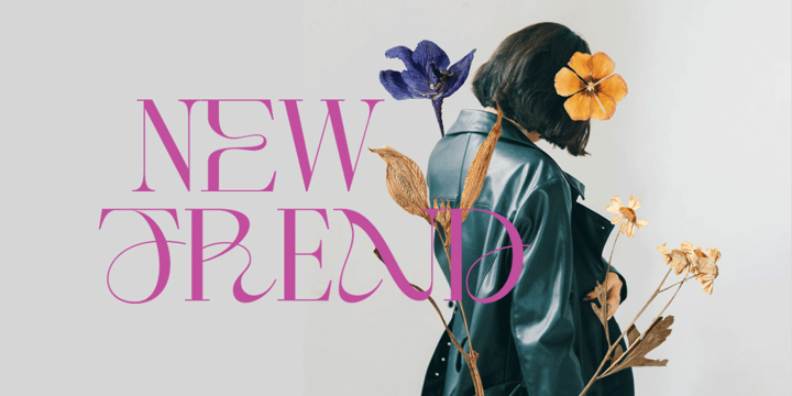 Rowan Font | Webfont & Desktop | MyFonts