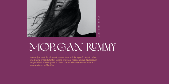 Rowan Font | Webfont & Desktop | MyFonts