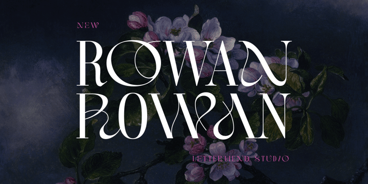 Rowan Font | Webfont & Desktop | MyFonts
