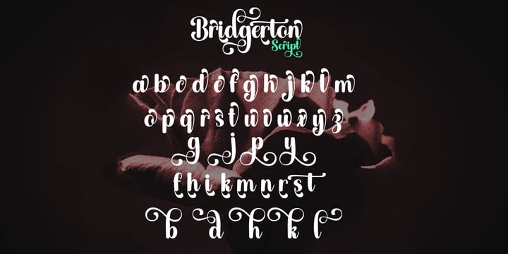 Bridgerton Script Font | Webfont & Desktop | MyFonts