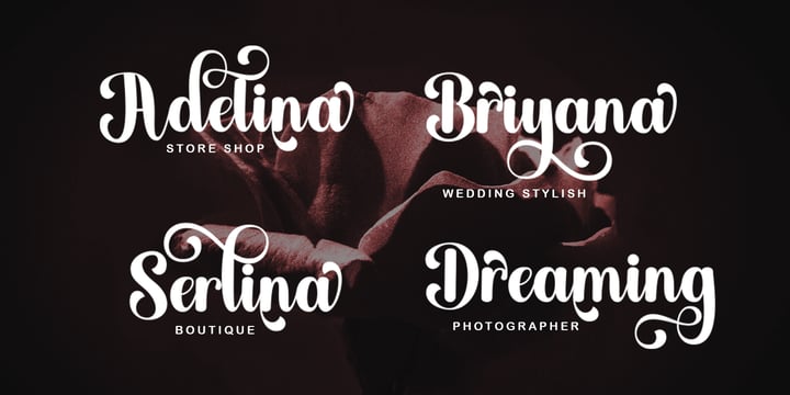 Bridgerton Script Font | Webfont & Desktop | MyFonts
