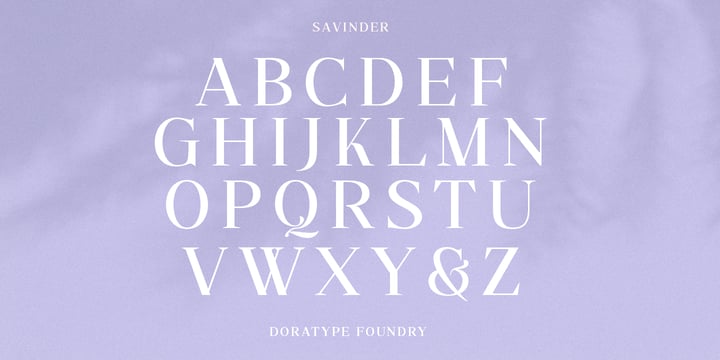 Savinder Font | Webfont & Desktop | MyFonts