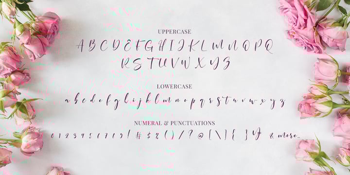 Saturated Font | Webfont & Desktop | MyFonts