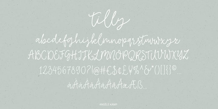 Tilly Font | Webfont & Desktop | MyFonts