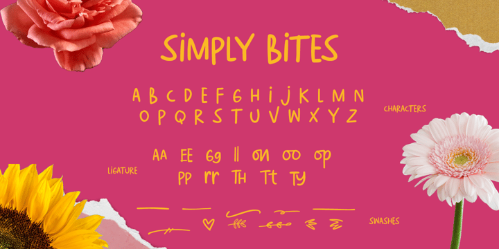 Simply Bites Font | Webfont & Desktop | MyFonts