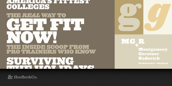 Ziggurat Font | Webfont & Desktop | MyFonts