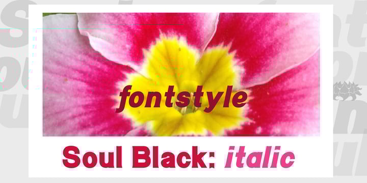 Soul Font | Webfont & Desktop | MyFonts
