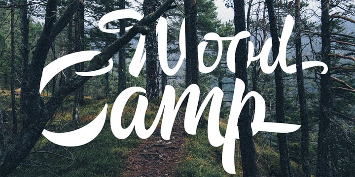 Hollie Script Pro Font | Webfont & Desktop | MyFonts