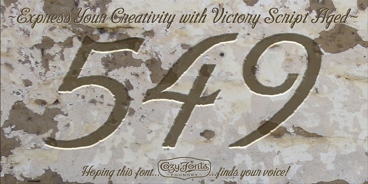 Victory Script Font | Webfont & Desktop | MyFonts