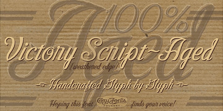 Victory Script Font | Webfont & Desktop | MyFonts