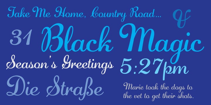 Adage Script JF Font | Webfont & Desktop | MyFonts