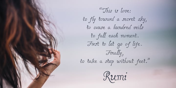Rumi Font | Webfont & Desktop | MyFonts