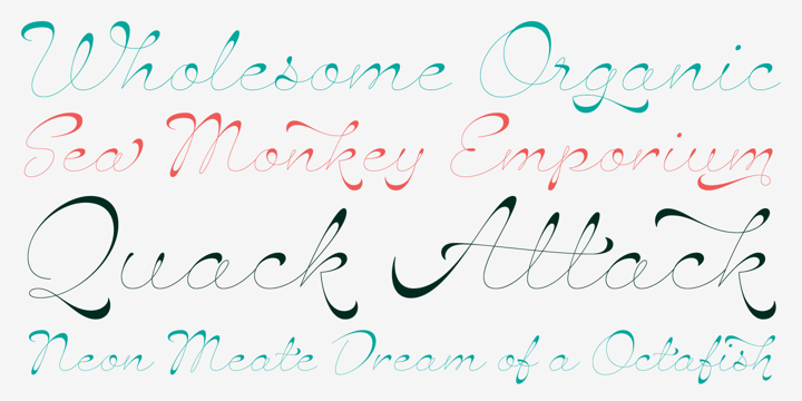 Hazel Script Font | Webfont & Desktop | MyFonts