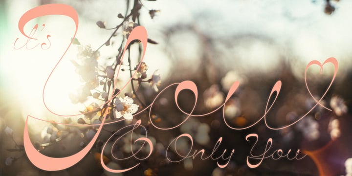 Hazel Script Font | Webfont & Desktop | MyFonts