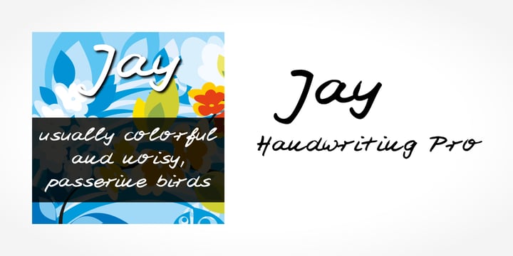 Jay Handwriting Pro Font | Webfont & Desktop | MyFonts