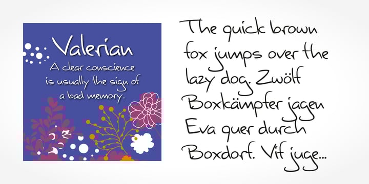 Valerian Handwriting Font | Webfont & Desktop | MyFonts