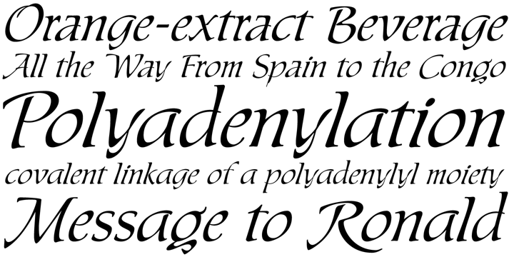 Messenger Font | Webfont & Desktop | MyFonts