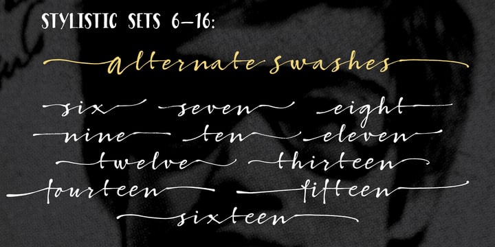 Bambusa Pro Font | Webfont & Desktop | MyFonts