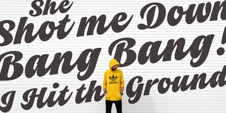 Vivian Script Font | Webfont & Desktop | MyFonts