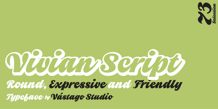 Vivian Script Font | Webfont & Desktop | MyFonts