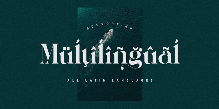 Balgor Font | Webfont & Desktop | MyFonts