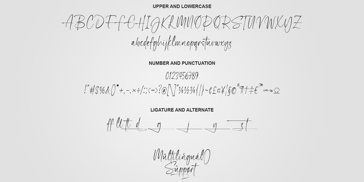 Primal Signature Font | Webfont & Desktop | MyFonts