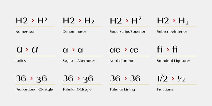 Istanbul Type Font | Webfont & Desktop | MyFonts