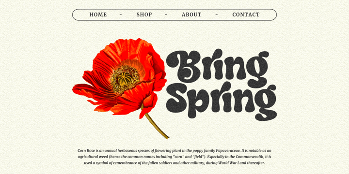 Swipe Font | Webfont & Desktop | MyFonts
