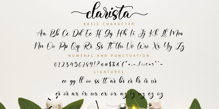 Clarista Font | Webfont & Desktop | MyFonts