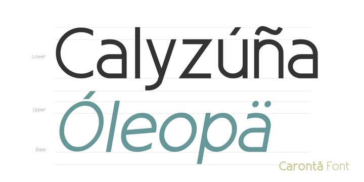 Francisco Arellano | MyFonts