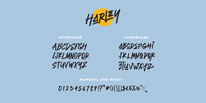 King Marley Font | Webfont & Desktop | MyFonts
