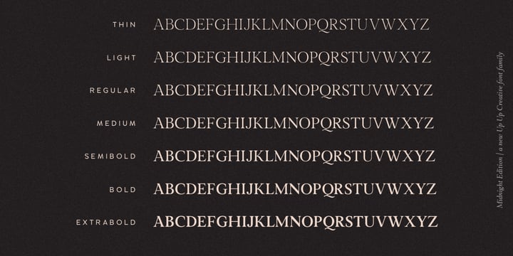 Midnight Edition Font | Webfont & Desktop | MyFonts