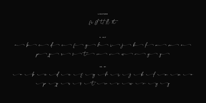 Ettlora Font | Webfont & Desktop | MyFonts