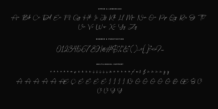 Ettlora Font | Webfont & Desktop | MyFonts