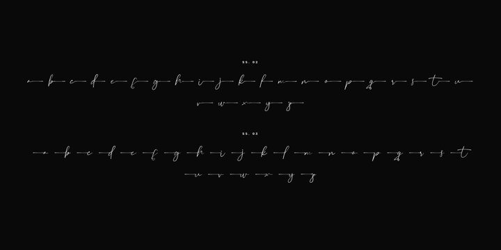 Ettlora Font | Webfont & Desktop | MyFonts